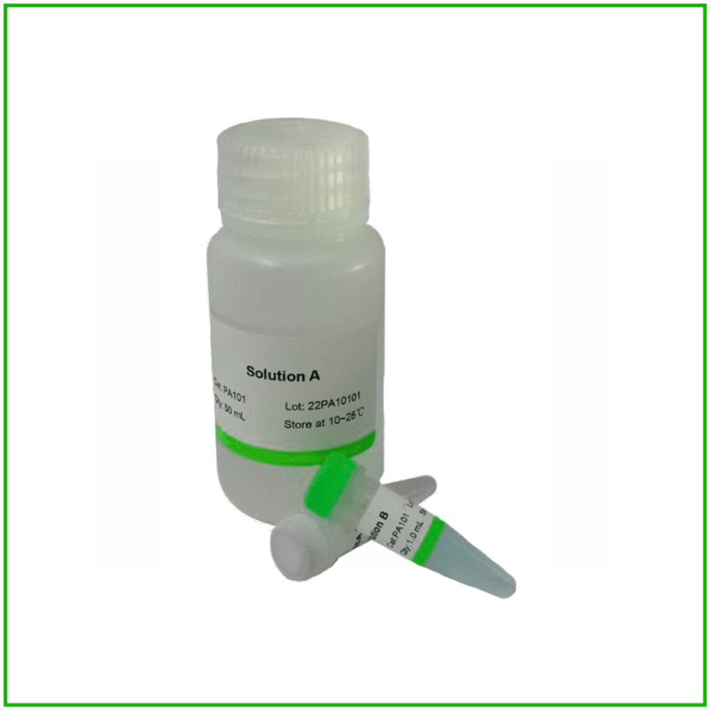 AICON-BIO™ BCA protein quantification kit - AICON-BIO