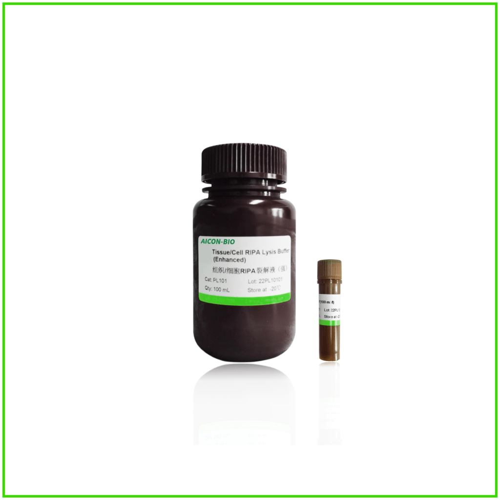 AICON-BIO™ Tissue/Cell RIPA Lysate (Strong) - AICON-BIO