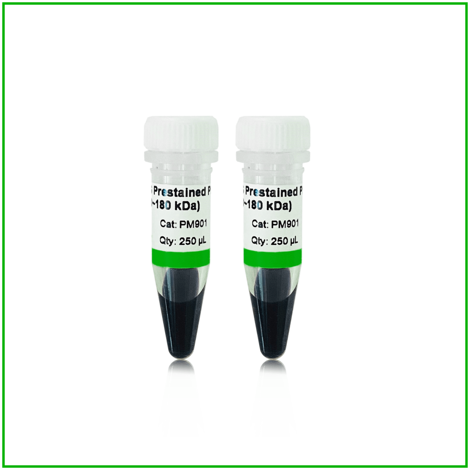 AICON-BIO™ GS Prestained Protein Ladder (10~180 kDa) - AICON-BIO