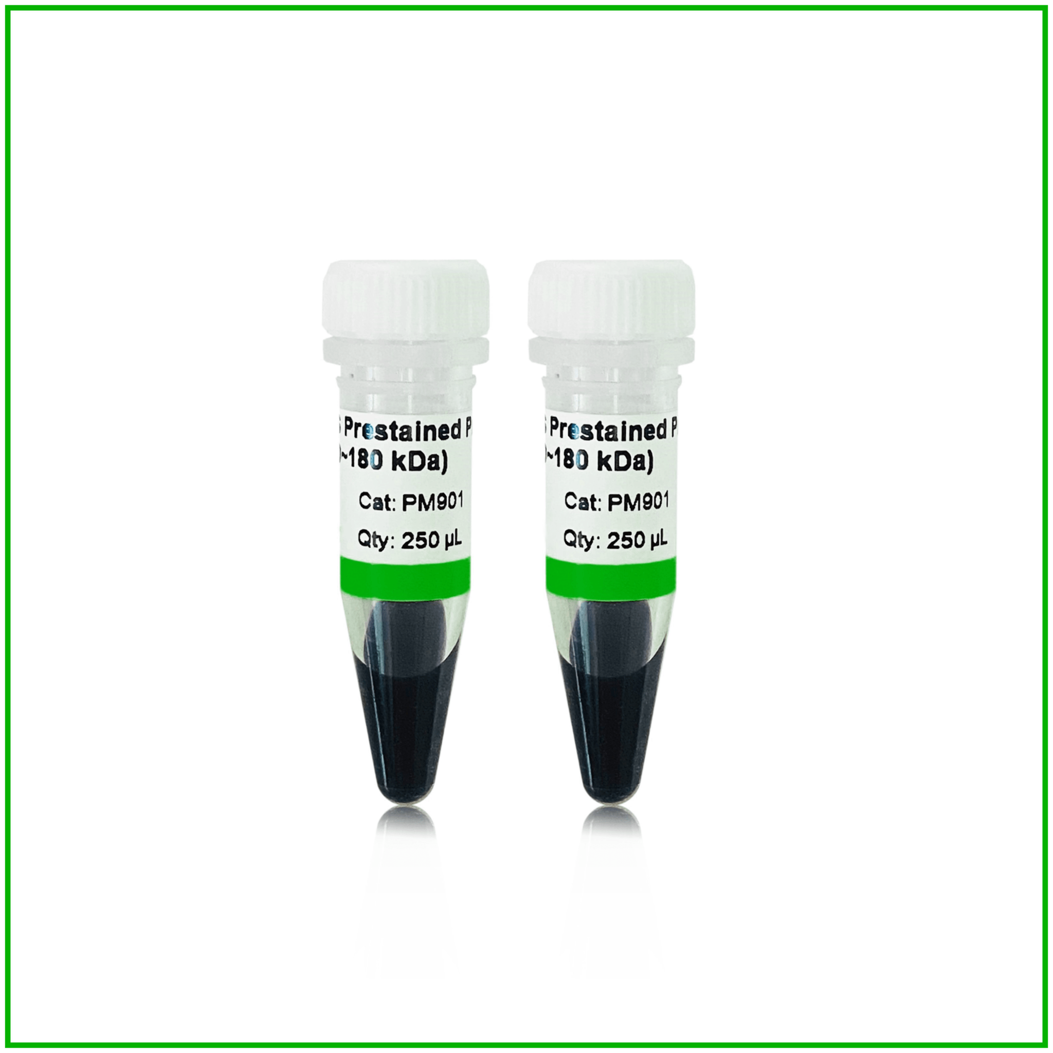 AICON-BIO™ GS Prestained Protein Ladder (10~180 kDa) - AICON-BIO