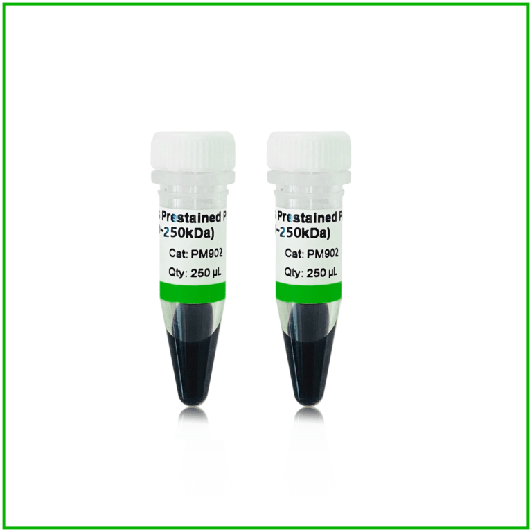 AICON-BIO™ GS Prestained Protein Ladder (8~250 kDa) - AICON-BIO