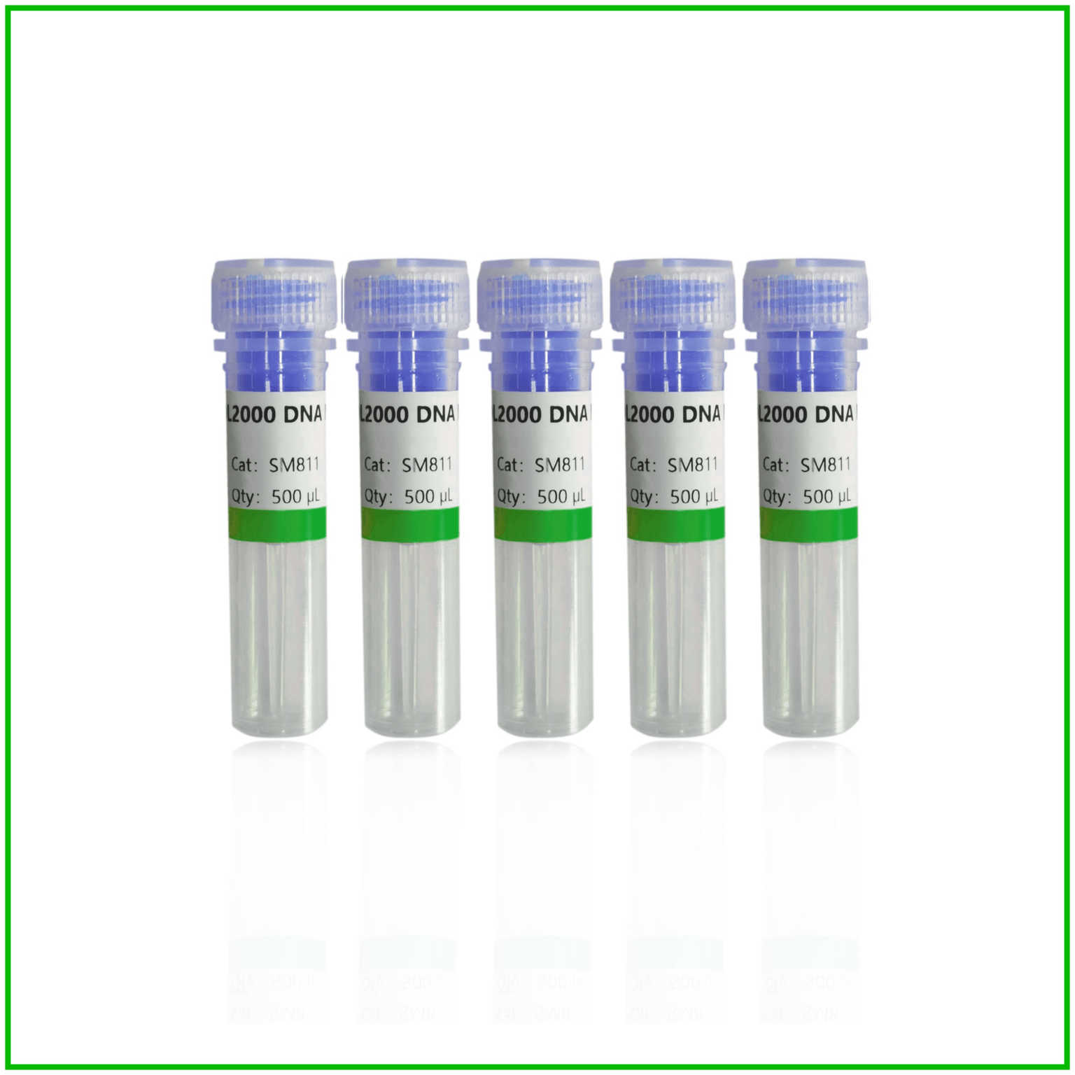 AICON-BIO™ DL2000 DNA Marker - AICON-BIO