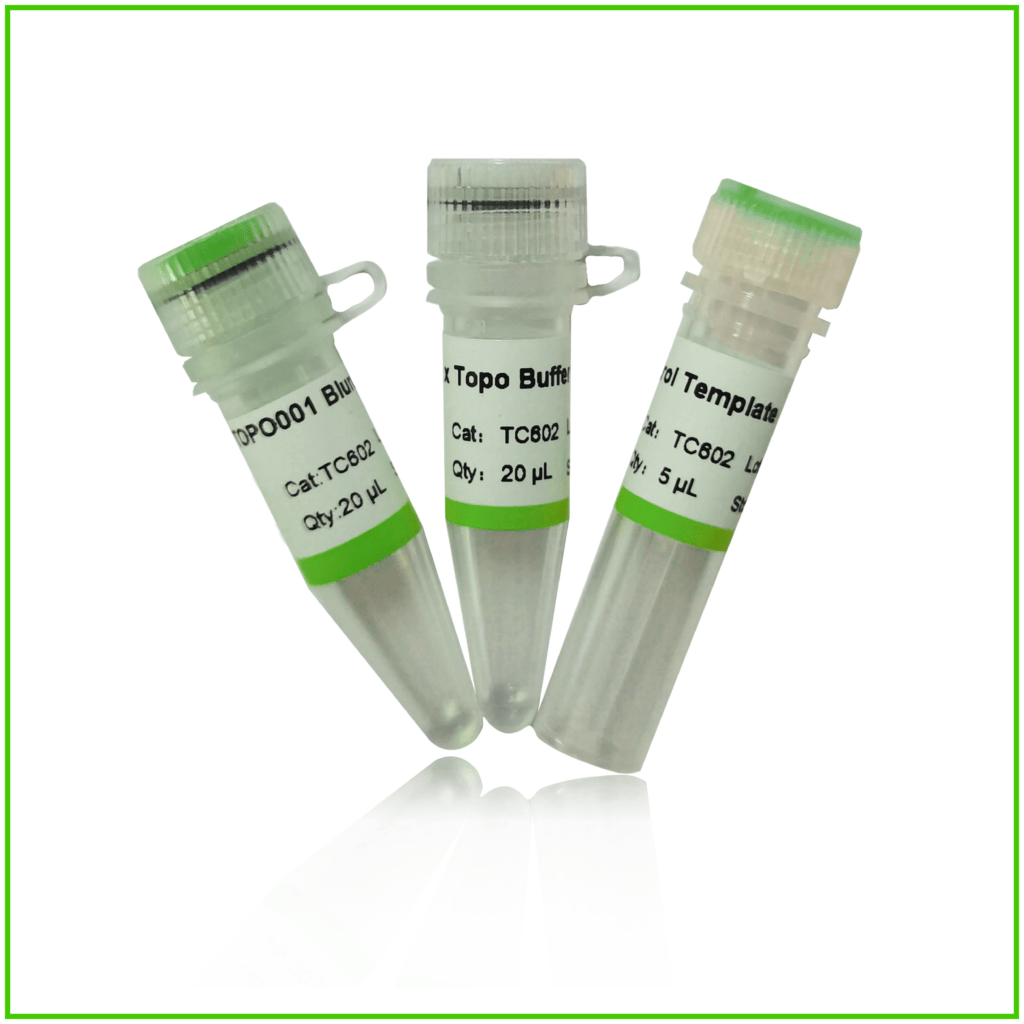 pTOPO001 Blunt Simple Cloning Kit - AICON-BIO