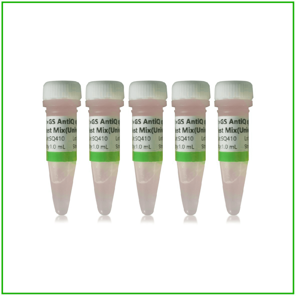 GS AntiQ qPCR SYBR Green Fast Mix(Universal) - AICON-BIO