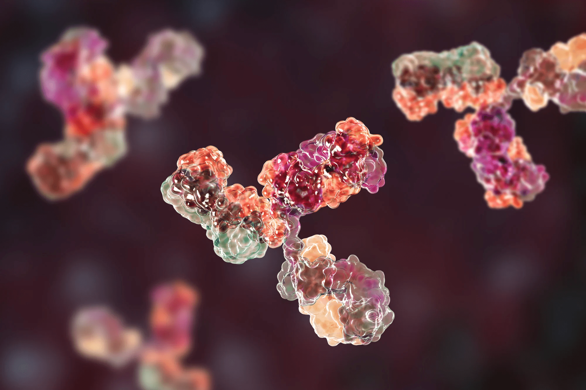 Custom Antibody Development & Production Services - AICON-BIO